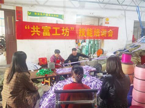 “编织”共富美景 今日苍南