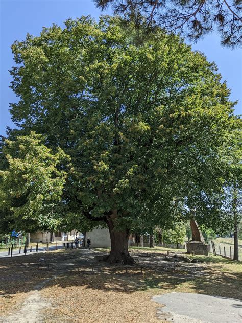 სოფელი ზოდი • Village Zodi Home