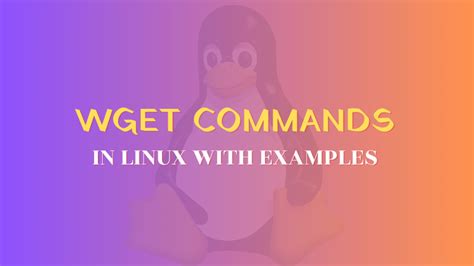 Wget Command In Linux With Examples