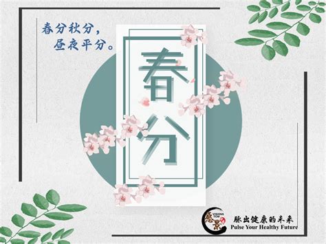 【二十四节气 春分 中医养生】 愿景中医 Visions Tcm