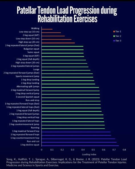 🏋️📊patellar Tendon Load Progression During Rehabilitation Exercises The Football Physio
