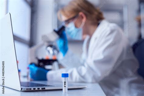 Female Lab Research Worker Wearing PPE Holding Test Tube Labelled BA 2 Stock Photo Adobe Stock