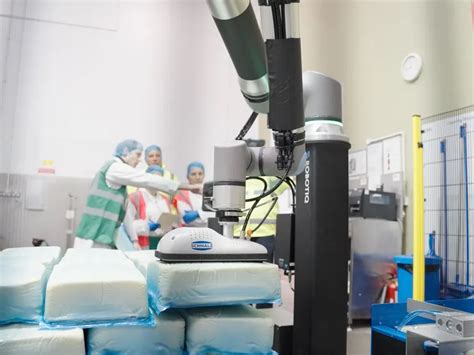 efficient integration of your first cobot palletizer a comprehensive