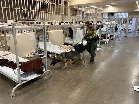 Authorities Find Weapons And Contraband During Facility Wide Sweep Of