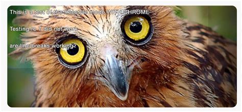 Textarea Cannot Rendered Correctly · Issue 2008 · Niklasvhhtml2canvas · Github