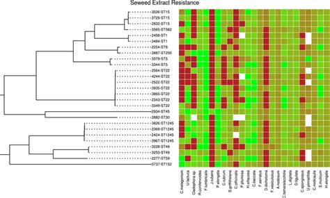 a maximum‐likelihood phylogenetic tree based on whole genome sequence download scientific