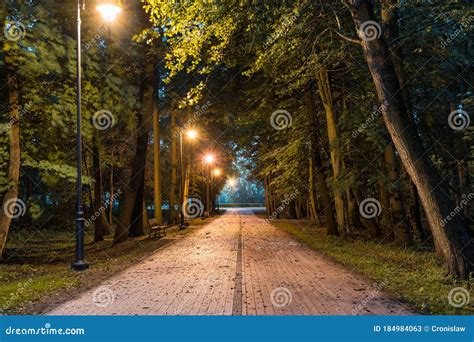 Pedastrian Pavement And Bicycle Path In A Park At Dusk Stock Image Image Of Peaceful