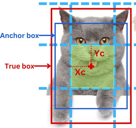 Deep Dive Yolo In And Out Part From V To V