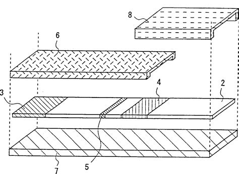 Biosensor Eureka Patsnap