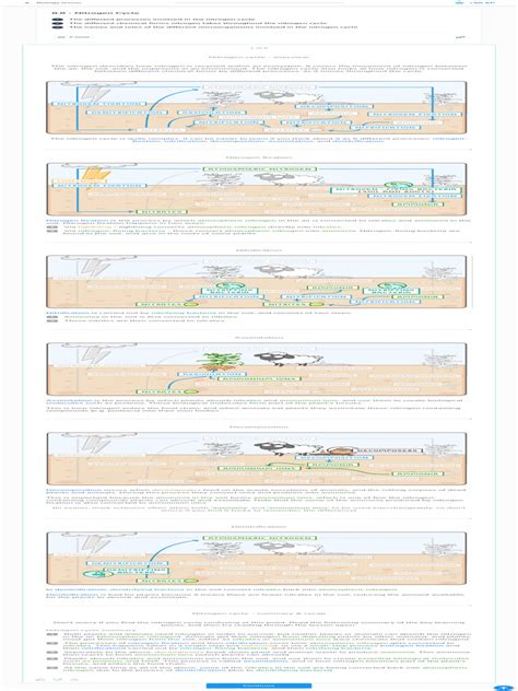 Nitrogen Cycle Lesson Gcse Biology Edexcel Igcse Triple Cognito Pdf