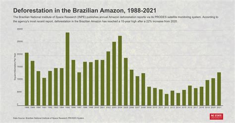 Is It Too Late To Save The Amazon Rainforest College Of Natural