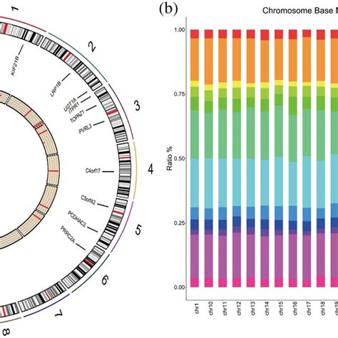 Whole‐exome Sequencing Wes In Ppss A The Topic Map Is 23 Download Scientific Diagram