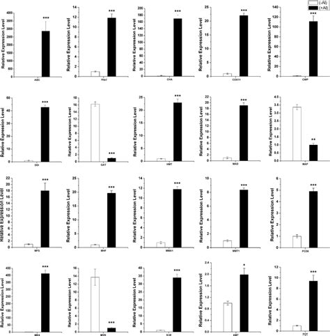 Expression Analysis Of Differential Expression Unigenes In Root And