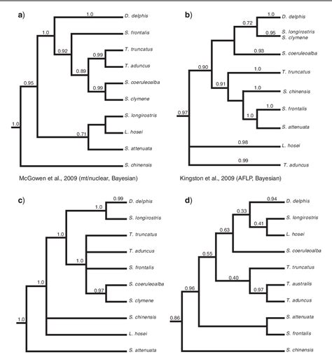 figure 3 from phylogenomic resolution of the cetacean tree of life