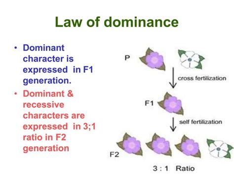 Heredity Class 10pptx Blood Disorders Diseases And Conditions