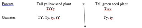 NCERT Solutions Class Biology Chapter Principles Of Inheritance And Variation