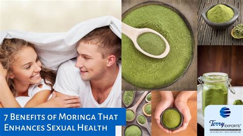 Moringa 7 Sexual Health Benefits Of Moringa For Men Terry Exports