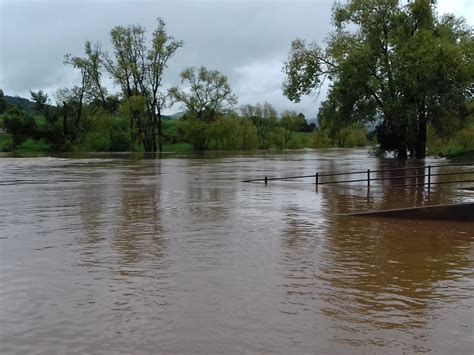 Sangli Rain Flood Heavy Rain