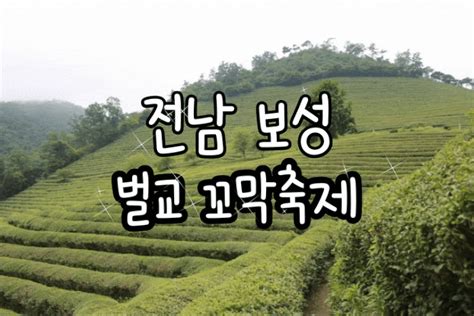 벌교 꼬막축제 제대로 즐겨보자 2017 보성축제 네이버 블로그