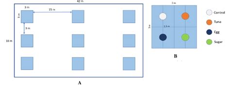 Pdf Ant Preference For Different Types Of Bait At Sugarcane