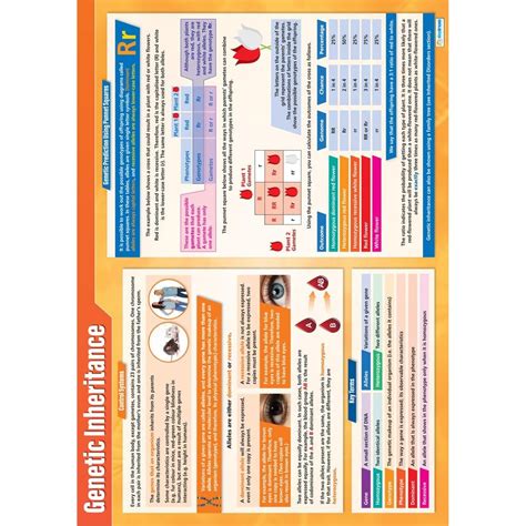 Genetic Inheritance Poster Daydream Education