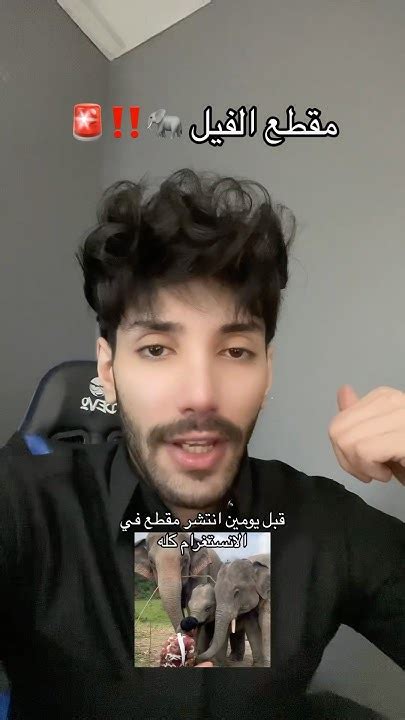 مقطع الفيل Youtube