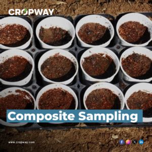 Top 6 Methods For Soil Sampling Efficiency CROPWAY 2025