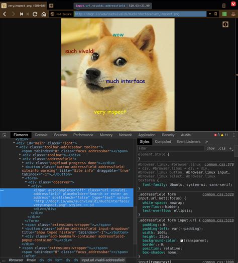 Customizing Vivaldi Interface With Css