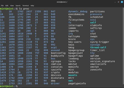 Linux File Hierarchy Structure Your Essential Guide Geekylab