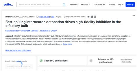 Fast Spiking Interneuron Detonation Drives High Fidelity Inhibition In
