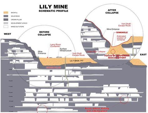 Search For Lily Mine Container Resumes