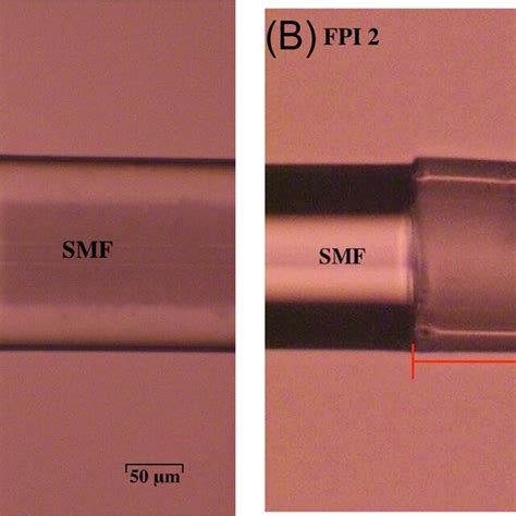 Micrographs Of Fpi1 A And Fpi2 B Fpi Fabry Perot Interferometer Download Scientific