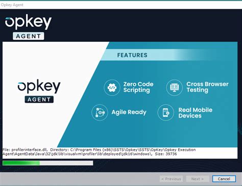 installation of opkey execution agent new ui