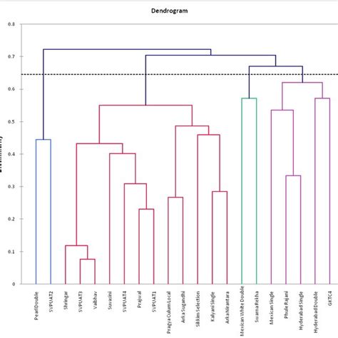 Dendrogram Showing Clustering Of 21 Tuberose Varieties Constructed