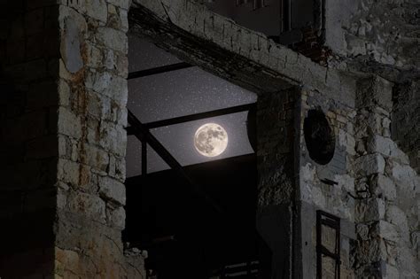 달 별 보름달 Pixabay의 무료 사진