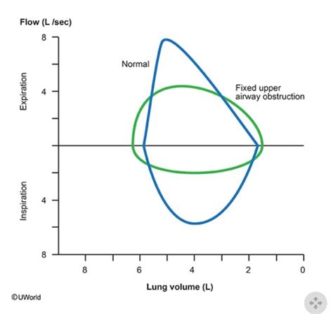 Pulmonary Function Tests Flashcards Quizlet