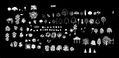 Trees And Shrubs Blocks 2D DWG Elevation For AutoCAD Designs CAD