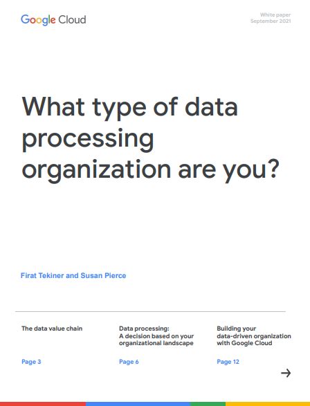 What Type Of Data Processing Organization Are You Whitepaper