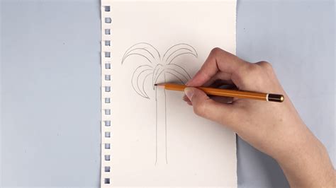 Easy Pencil Drawings Of Trees