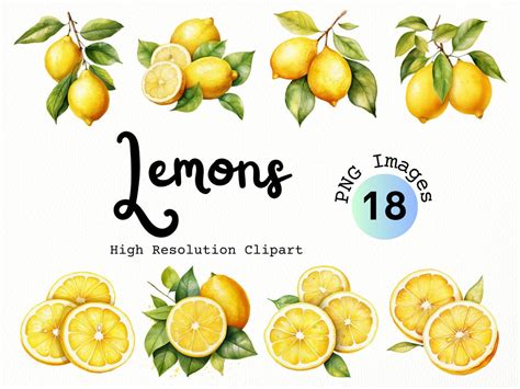 Lemons Clipart 18 Png Watercolor Images With Instant Digital Download