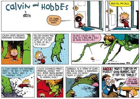 Calvin And Hobbes Calvin S Mom S Biggest Freakouts