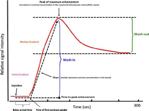 Semiquantitative Analysis Of Dynamic Data Semiquantitative Parameters