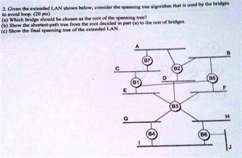 Solved To Avoid A Loop Which Bridge Should Be Chosen As The Root Of
