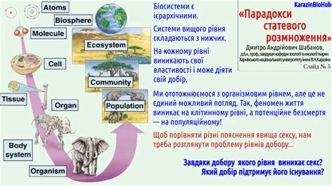 Парадокси сексуального розмноження Виступ на Karazinbiohub Лекторій