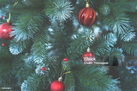 메리 Xmas 다채로운 공 선물 상자 및 크리스마스 인사말 그림 소포 크리스마스와 새해 동안 녹색 크리스마스 트리 배경 장식에 종 장식의 클로즈업 0명에 대한 스톡 사진 및