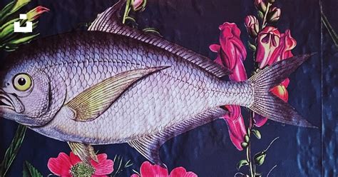 물에 흰색과 노란색 물고기 사진 Unsplash의 무료 물고기 이미지