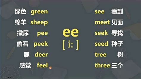记忆有规律，单词不难记（包含ee的单词走起）教育在线教育好看视频