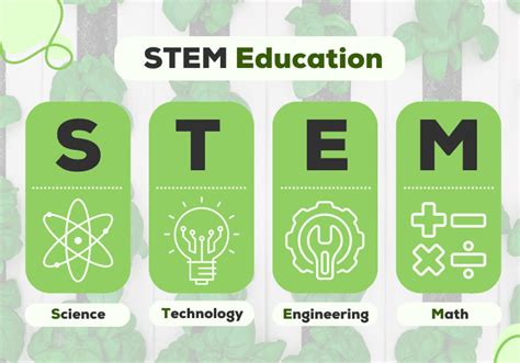 Stem Education