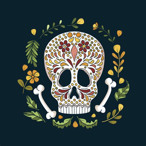 Bone Anatomy Vector Art Icons And Graphics For Free Download