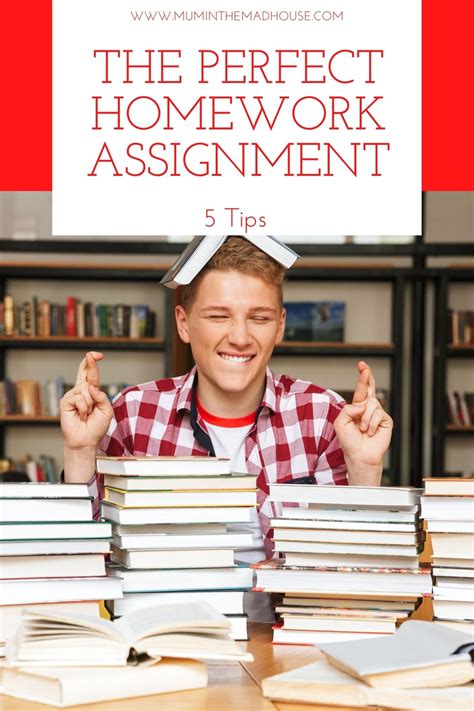 The Perfect Homework Assignment Things You Need To Know Mum In The